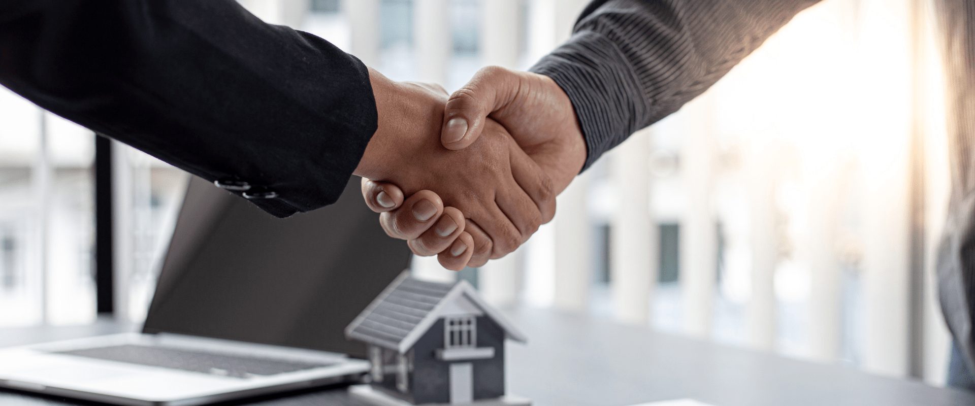 Neon Treehouse Digital Marketing - Case Studies